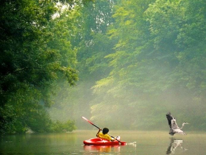 amazon ormanları - Dünyanın Doğal Harikaları - Yerbilgisi