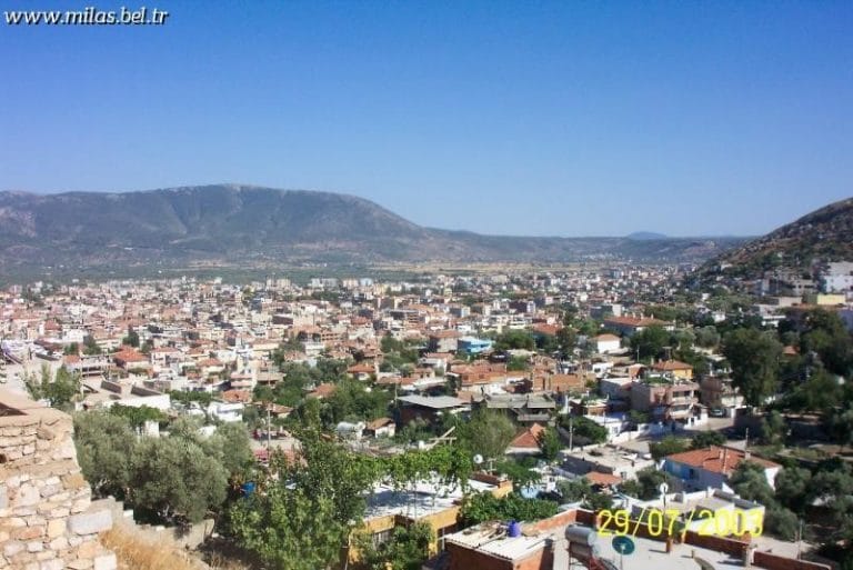 aaadam_Milas.jpg | Yerbilgisi